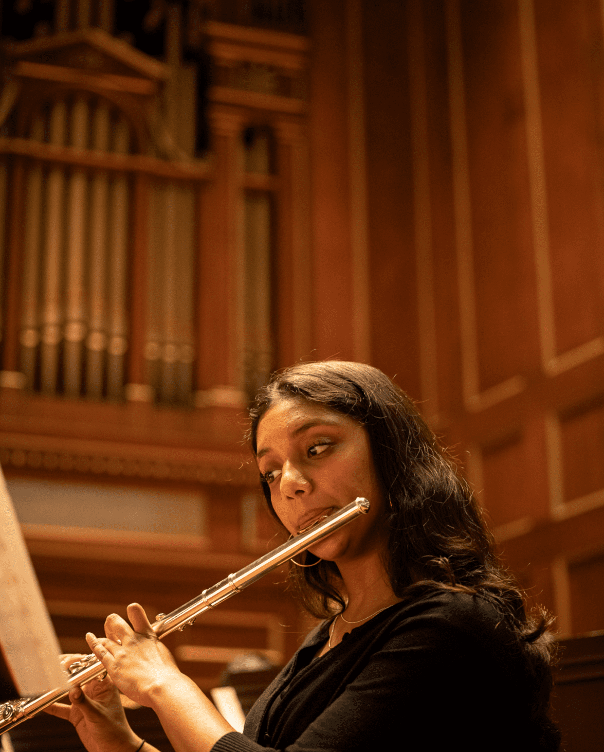 Expanded Education - NECMusic