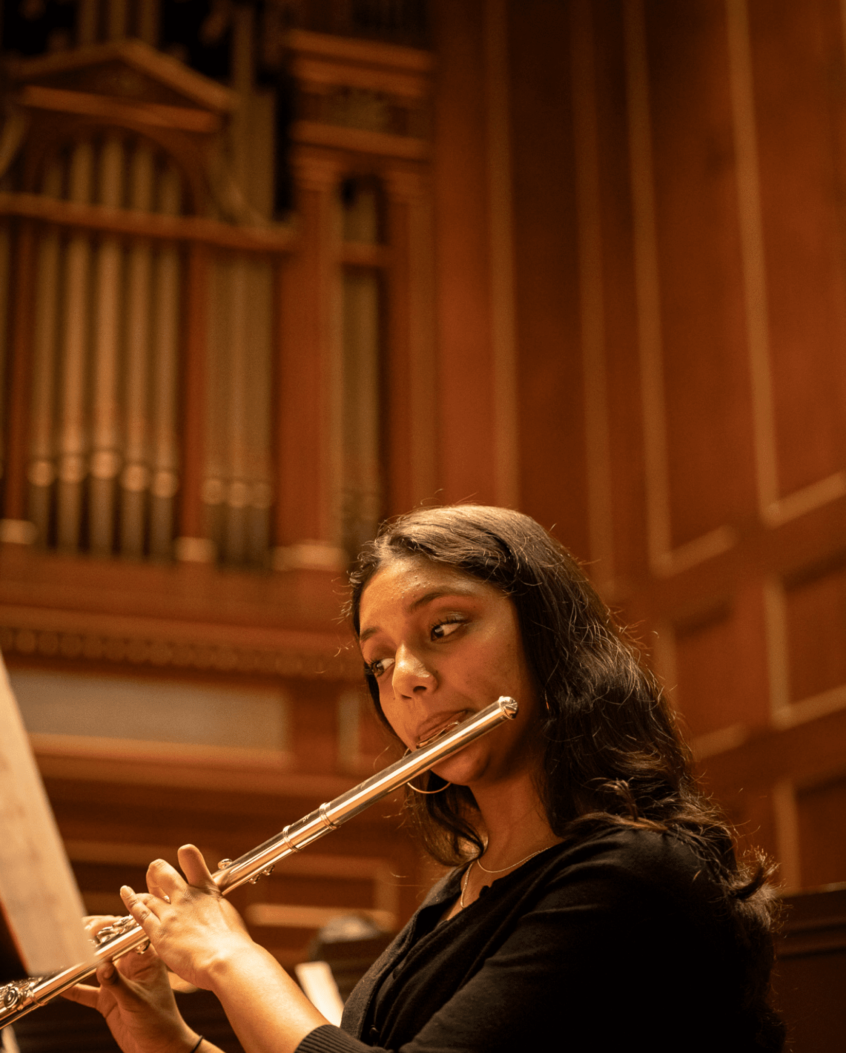 Expanded Education - NECMusic